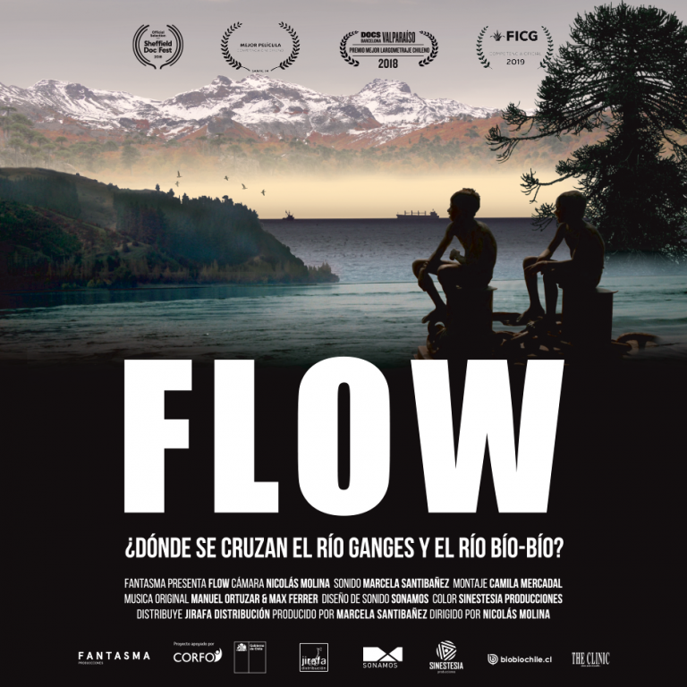 "Flow": Una vivencia audiovisual sobre lo auténtico - Cine y Literatura