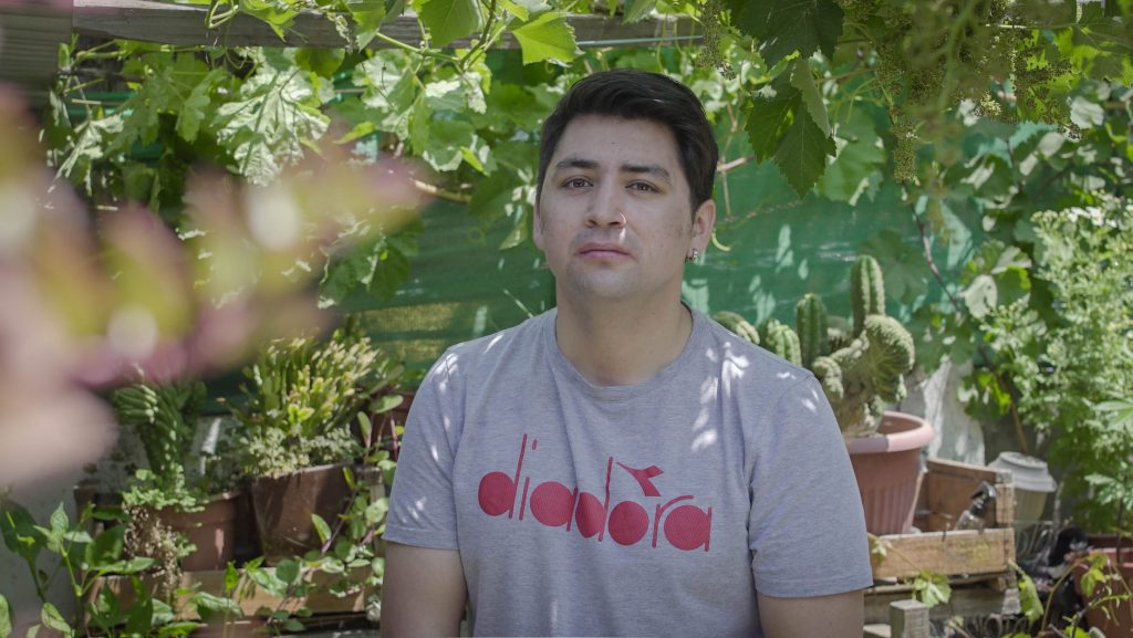 Escritor Nicolás Meneses: "El régimen laboral chileno, el modelo ...